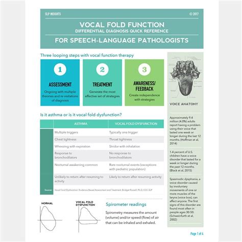 Quick Reference Vocal Fold Function Slp Insights Speech And