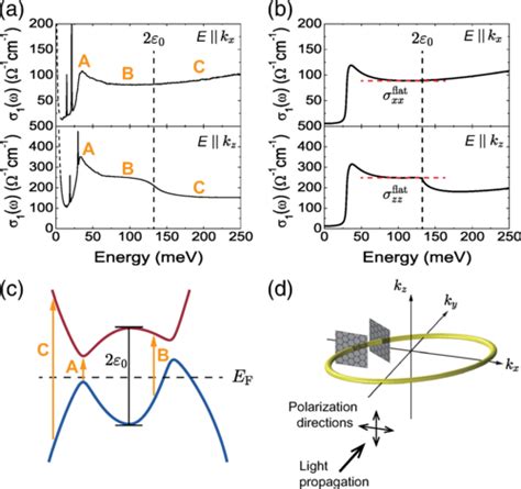 Optical Transitions Of A Single Nodal Ring In Sras3 Radially And