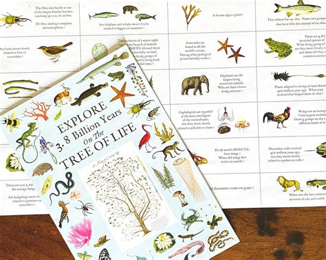A History Of Existing Life — Fairhope Graphics Evolutionary Trees