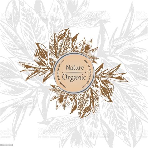 텍스트가 있는 천연 유기농 화장품 라벨 배지 또는 스티커 손으로 그린 바이오 및 에코 제품 디자인과 녹색 잎 벡터 그림입니다 0명에 대한 스톡 벡터 아트 및 기타 이미지