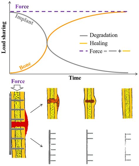 Zinc Based Biodegradable Materials For Orthopaedic Internal Fixation