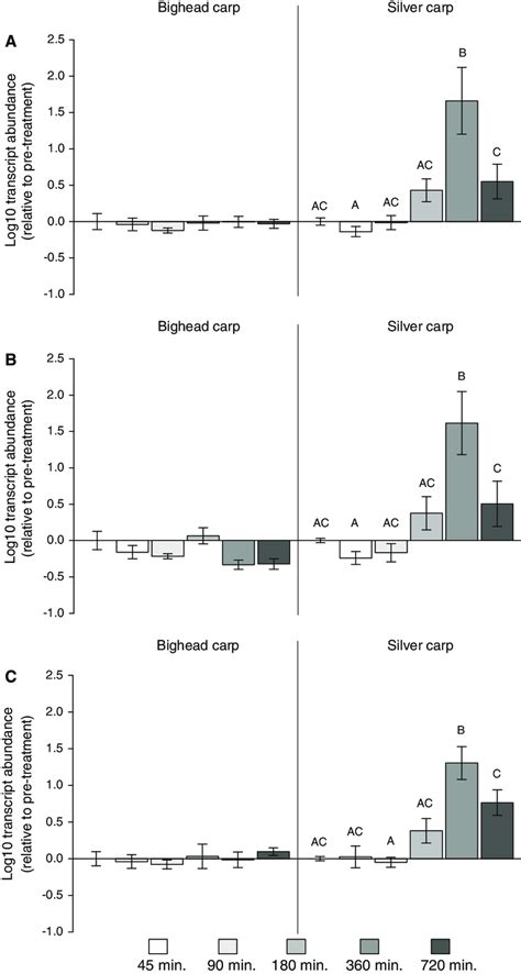Relative Transcript Abundance For Genes Associated With Reducing