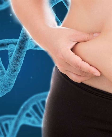 ¿cómo Prevenir La Obesidad Todo Lo Que Debe Saber Sobre Su Peso