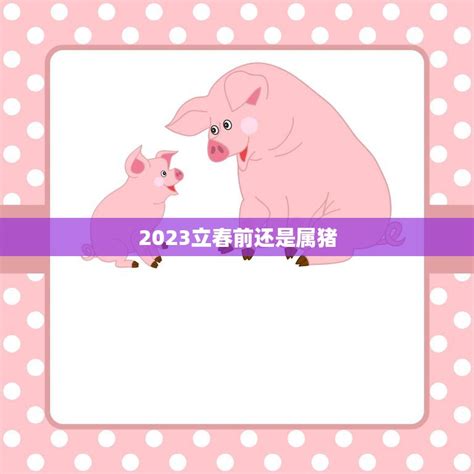 2023立春前还是属猪 猪年生肖转换时间解析 星辰运势
