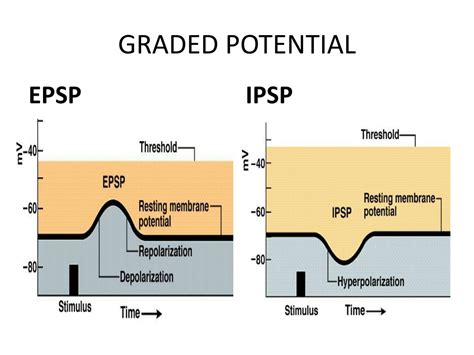 Graded Potential Definition