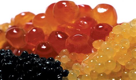 Рыбья икра – идеальный выбор для праздничного стола и оздоровительной ...