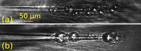Spatial Distribution Of The Bubbles For Two Shots In The Same Download Scientific Diagram