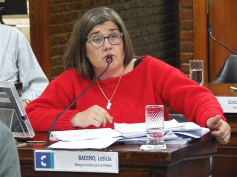 Alianza Legislativa Del Oficialismo De Tlauquen Con La Libertad Avanza