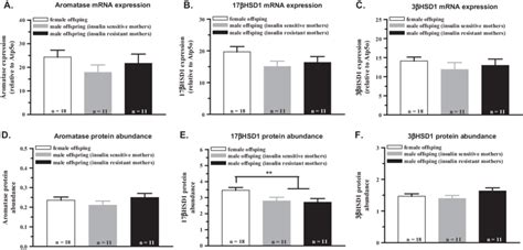 Aromatase 17bhsd1 And 3bhsd1 Mrna Expression And Protein Abundance