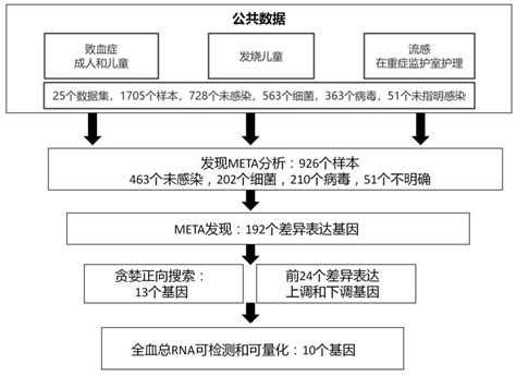 一种用于评估受试者的败血症风险和感染型的生物标志物、模型及试剂盒的制作方法