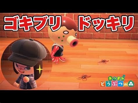 あつ森遊びに来た部屋におもちゃのゴキブリがいたら帰っちゃうあつまれどうぶつの森 YouTube