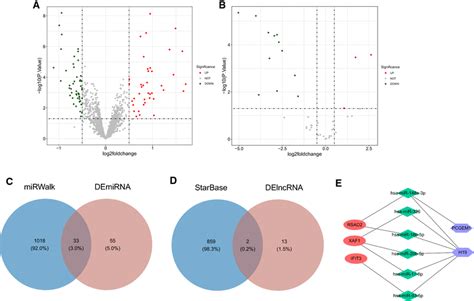 Cerna Regulatory Network Establishment Based On Critical Genes A
