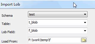 DBBlobEditor Edit Relational Database LOB BLOB CLOB Direct