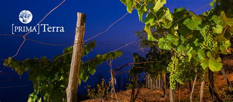 Primaterra – Primaterra wine Cinque Terre