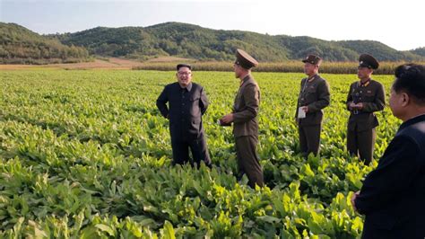 Ten Million North Koreans Suffering Severe Food Shortages Un News