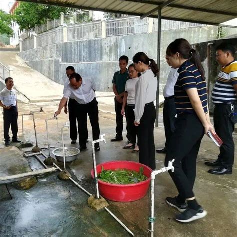 研讨班交流发言摘登 武鸣区：抓好“四个机关”建设工作人民监督