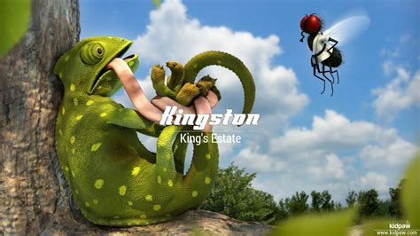 Kingston 3D Name Wallpaper for Mobile, Write Name on Photo Online