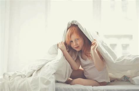 Duvet Vs Comforter Which One Is The Best For You