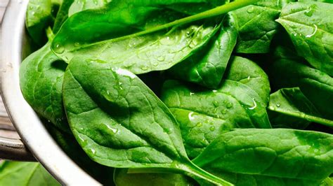 Alimentos Vegetales Ricos En Calcio Mejor Con Salud
