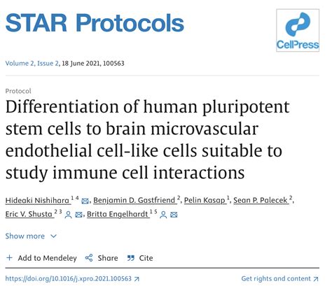 Differentiation Of Human Induced Pluripotent Stem Cells Into Brain Microvascular Endothelial