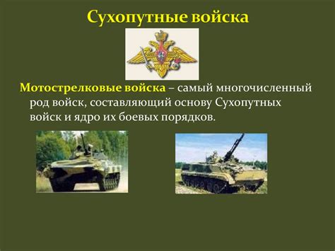 Виды и рода войск Вооружённых Сил Российской Федерации 10 класс
