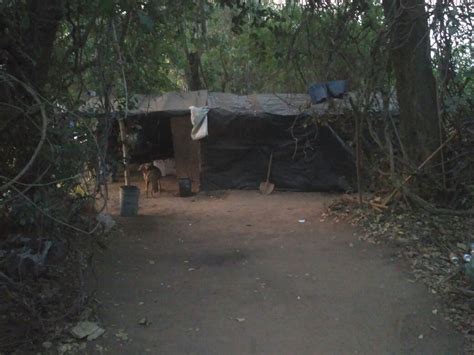 PMA Desmonta Acampamento Ilegal De Pesca E Apreende Petrechos De Pesca