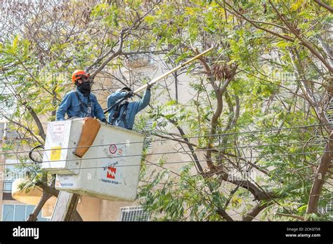 Electric Company Workers Use Power Tools And An Hydraulic Lift To Gain Height Advantage While