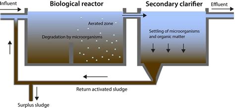 Schematic Depictions Of An Activated Sludge System Download
