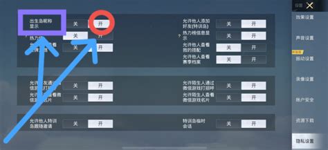 和平精英出生岛怎么显示名字 和平精英出生岛显示名字方法 梦幻手游网
