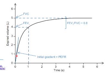 Basic Lung Function Tests Flashcards Quizlet