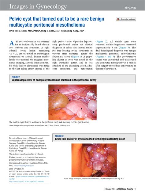 Pdf Pelvic Cyst That Turned Out To Be A Rare Benign Multicystic Peritoneal Mesothelioma