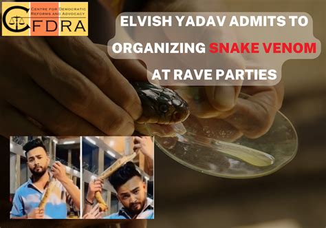 Elvish Yadav Admits To Organizing Snake Venom At Rave Parties