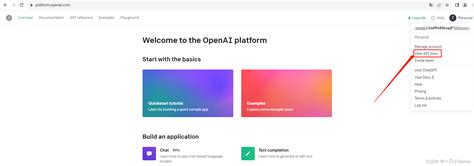 Chatgpt：2 使用openai创建自己的ai网站：1 初探apiplatformopenai Com Csdn博客