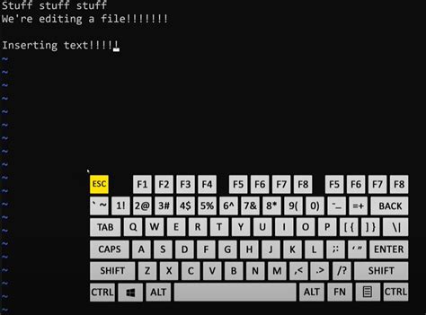 Essential Things To Do After Installing Ubuntu A Step By Step Guide Digital Tech
