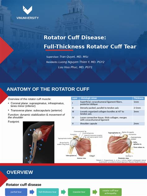 6 Full Thickness Rotator Cuff Tear Pdf Shoulder Musculoskeletal