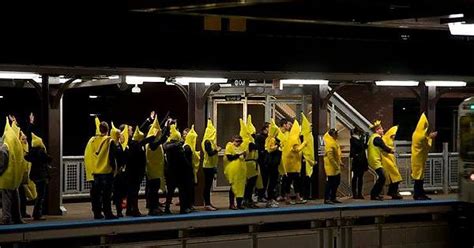Bananas Going Anywhere Imgur