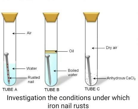 Small Activity With Photo Of Rusting Brainly In