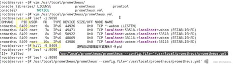 Prometheus 普罗米修斯普罗米修斯数据库 Csdn博客