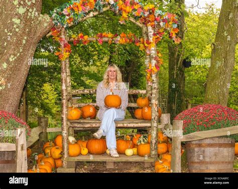 Tulleys Farm West Sussex England 20 Sep 2025 The Seasonal Pumpkin