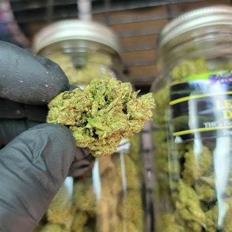 Sex Panther THCA Flower Compliant The Kratom Store