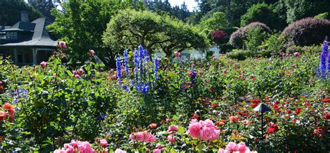 The Butchart Gardens Online T Store The Butchart Gardens Seed