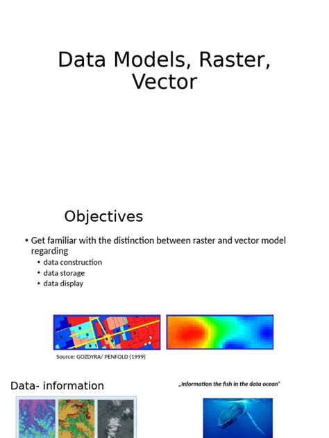 3data Models Raster Vector Pdf Geographic Information System Image Resolution