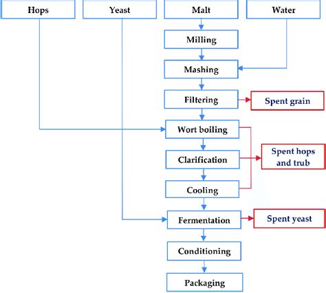Schematic Representation Of The Brewing Process And Points Where The Download Scientific