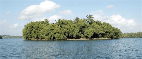 Varkala Munnar Adventure Activities