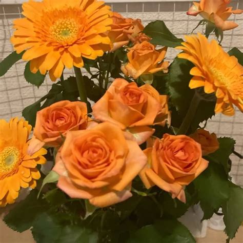 Kori621 • Threads Say More