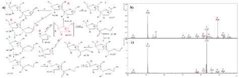 A Fragmentation Pathways Of D Fructose B MS Spectrum Before Download Scientific Diagram
