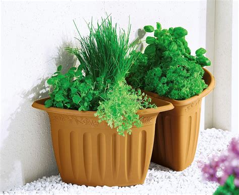 Eck Blumentopf 2er Set Terrakotta Pflanztopf Blumenkübel Pflanzkübel