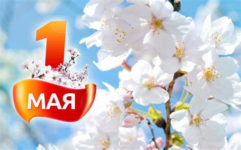 Радужный Ёж | ВКонтакте