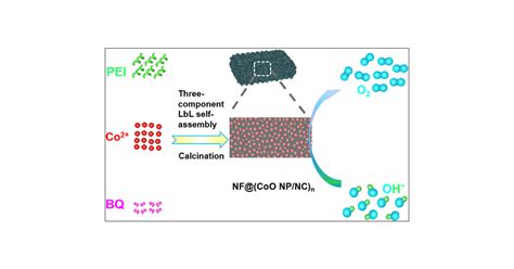 Three Dimensional Ni Foam Supported Coo Nanoparticlesn Doped Carbon Multilayer Nanocomposite