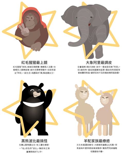入厝囉！壽山動物園重磅回歸 高雄畫刊 高雄市政府新聞局